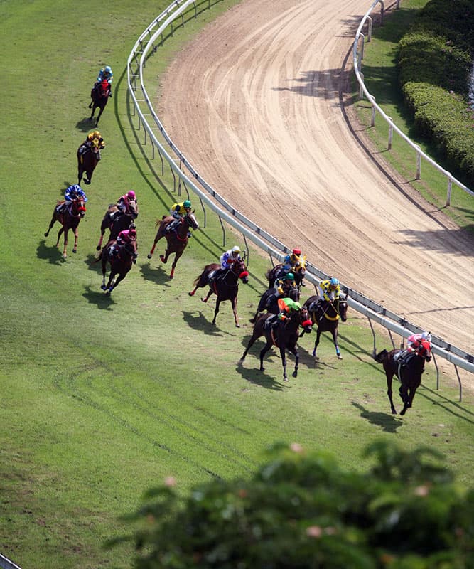 SSAS - LGC ASSURE supply chain assurance